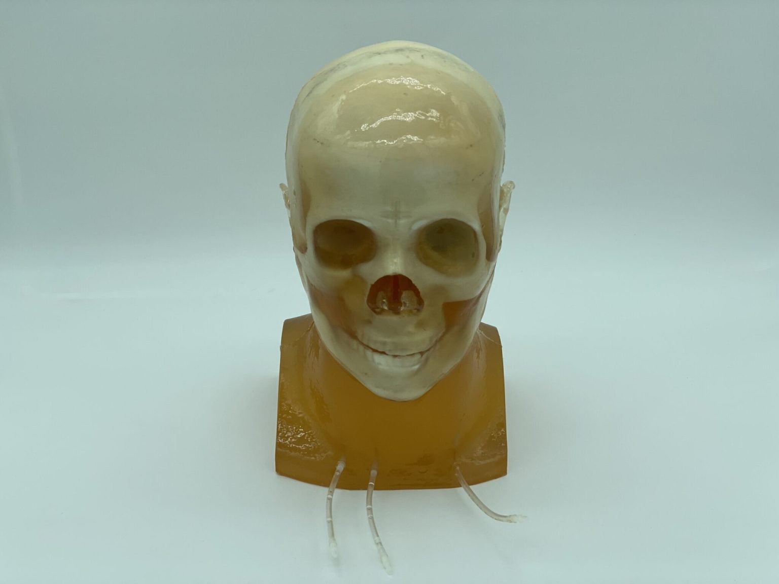 Adult Head (Standard) for X-Ray CT, US, MRI – inmed.com.au