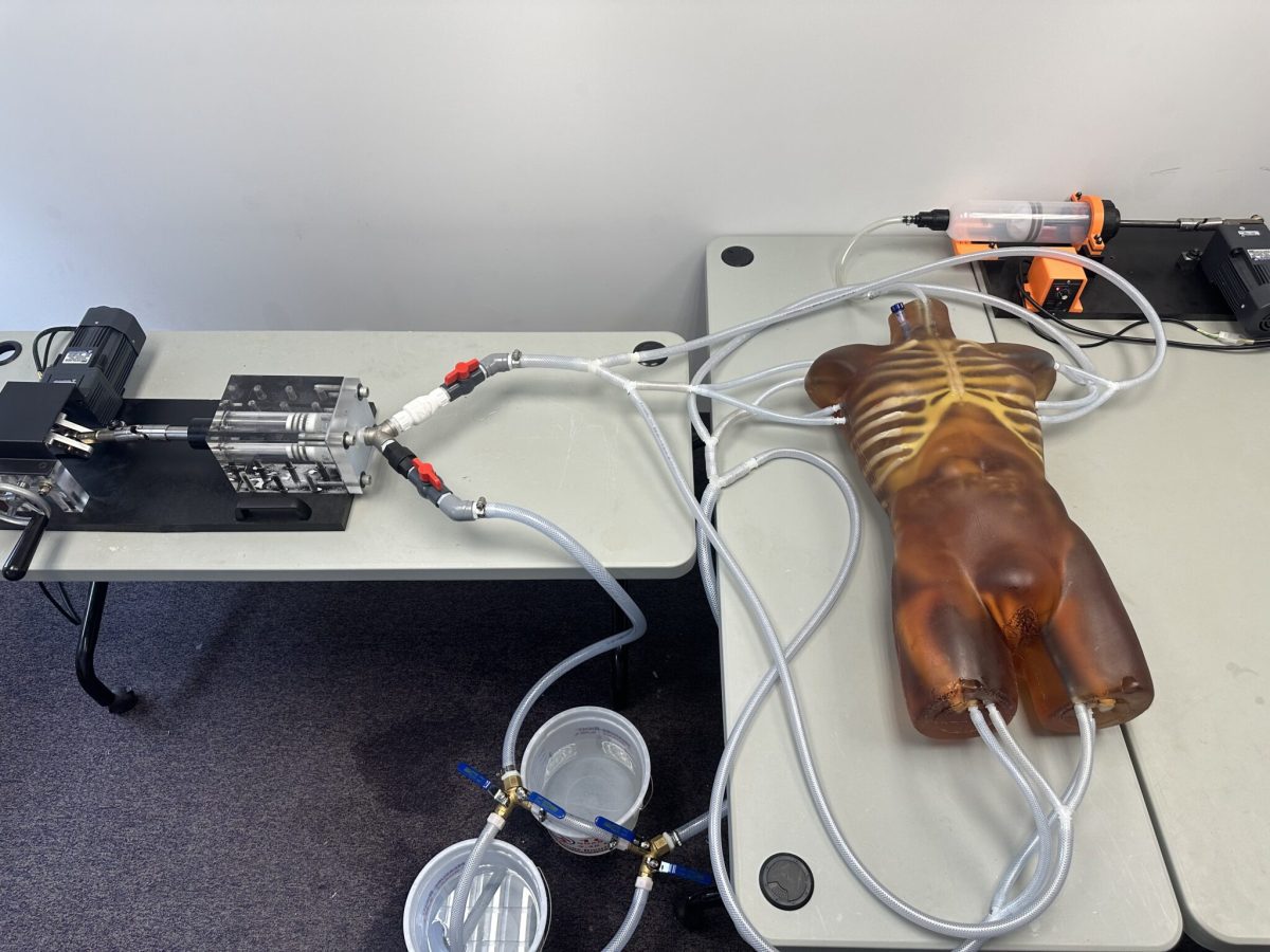 Adult Torso (Dynamic) for X-Ray CT, MRI – inmed.com.au